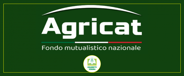 Fondo Mutualistico AGRICAT è una delle novità previste nel nuovo Piano ...